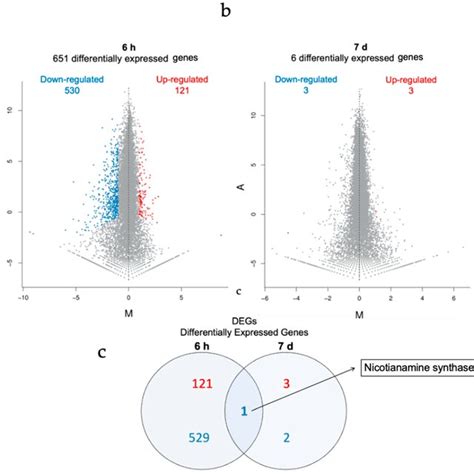 Degs After Aunp Scta Treatment Ma Plot Representing Degs Upregulated Download Scientific