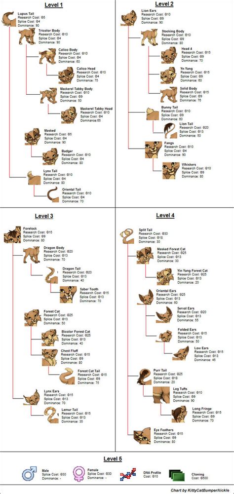 Catus Mutation Chart Revised By Niamh Byrne On Deviantart