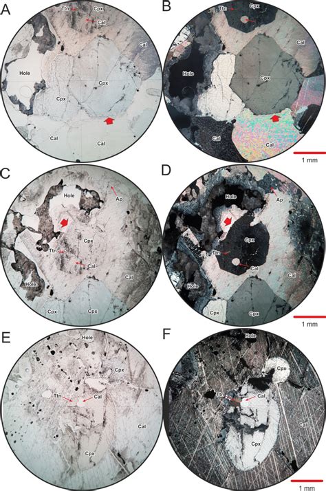 Photomicrographs Showing Texture Special Features And Representative Download Scientific