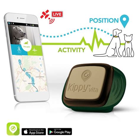Kippy Vita Im Test Gps Activity Tracker Für Hunde Und Katzen