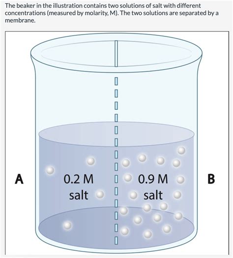 Solved If The Membrane Were Permeable To Both Salt And