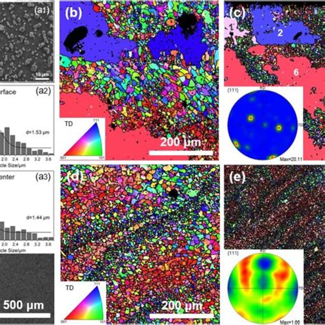 A Sem Image Of Sample D The Inserts Show The Si Particle Size Download Scientific Diagram