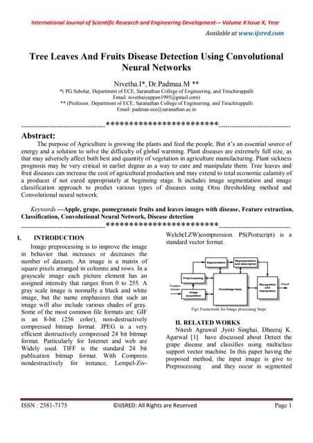 Fruit Classification And Quality Prediction Using Deep Learning Methods