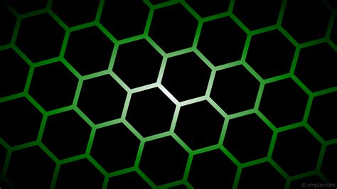 Black And Green Wallpapers 64 Images
