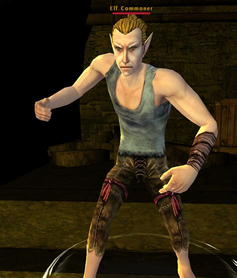 Elf Commoner Ddo Compendium