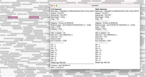 paired end alignments igv desktop application