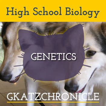 GENETICS WRITE ABOUT CLONING By GKatzChronicle TPT