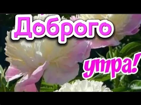 🌹*|С ДОБРЫМ УТРОМ☕🍰| Мир и счастье вашему дому| - YouTube