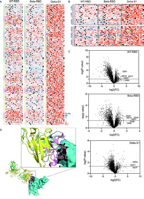 Figure 3 From High Throughput Saturation Mutagenesis Generates A High
