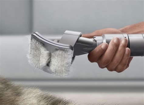 dyson grooms fluffy pets with vacuum kit for no-mess cleaning
