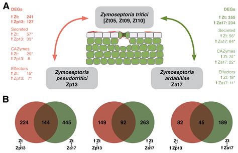 Comparative Analyses Of Compatible And Incompatible Host Pathogen Interactions Provide Insight