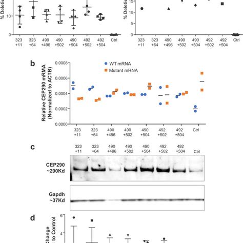 In Vitro Validation Of Editing Strategy In Primary Patient Download Scientific Diagram