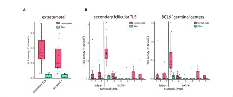 metastatic tumor sites tls density and spatial distribution a