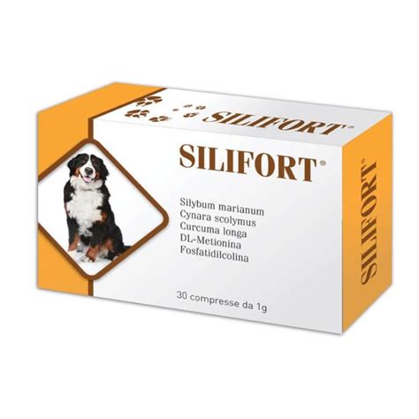 Silfort 30 Compresse Da 1g - Farmacia Loreto