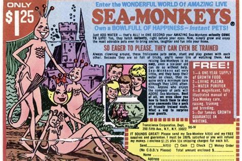 The Dark Past Of The Sea Monkey Founder