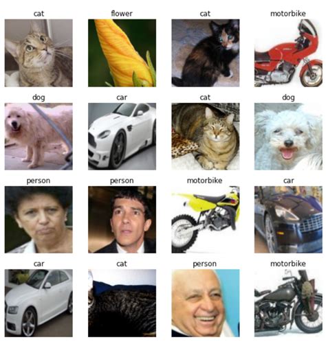 Pytorch中基于tpu的fastai多类图像分类 知乎