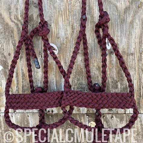 Special C Mule Tape Halters Gorgeous Sorrels