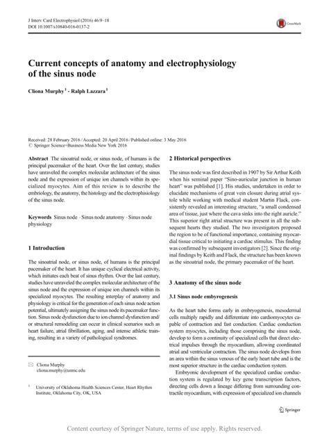 Current Concepts Of Anatomy And Electrophysiology Of The Sinus Node
