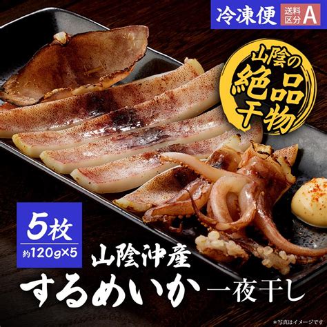 【山陰うまいもの】山陰沖産 するめいか一夜干し 5枚（約120g×5枚） スルメイカ 烏賊 イカ いか 一夜干し 干物 冷凍 やわた
