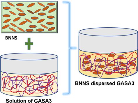 Schematic Diagram Representing The Preparation Of Bnns Dispersed Gasa3