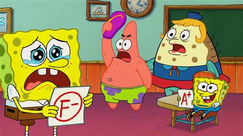 Poor Spongebob Got Bad Grades Spongebob Funny Animation Youtube