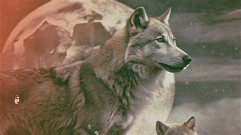 ქართველს Youtube