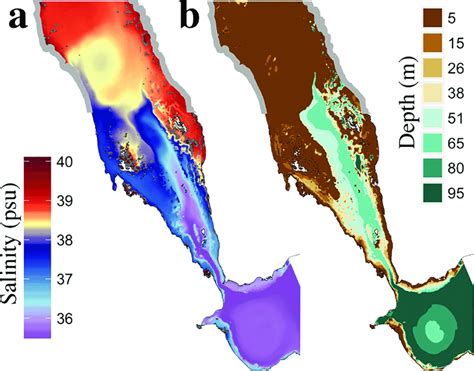 southern red sea simulated minimum salinity between 0m and 100m depth
