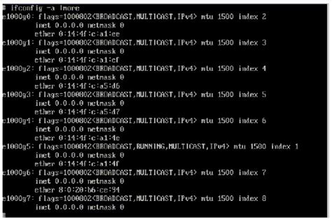 Identifying Logical And Physical Network Interface Names For Solaris Os