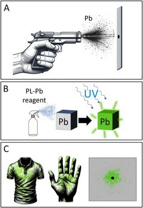 Optics And Photonics News Gunshot Residue Gets A Glow Up