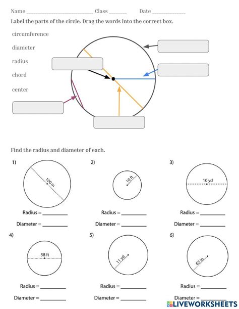 Free Printable Radius And Diameter Worksheets