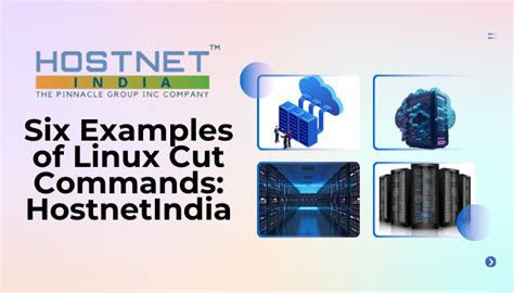 Six Examples Of Linux Cut Commands Hostnetindia