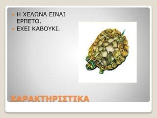 ΧΕΛΩΝΑ Pptx