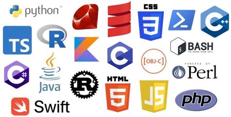Kumpulan Website Belajar Coding Bahasa Pemrograman Untuk Pemula Pohon