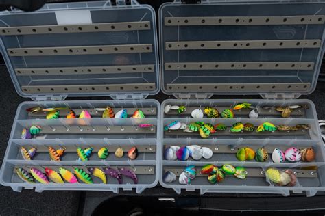 Cracking The Summer Walleye Bite On Devils Lake Bottom Bouncers And Spinners