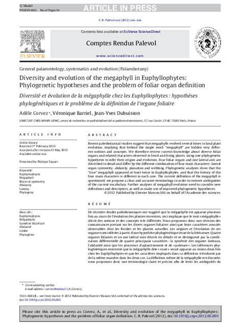 Pdf Diversity And Evolution Of The Megaphyll In Euphyllophytes Phylogenetic Hypotheses And