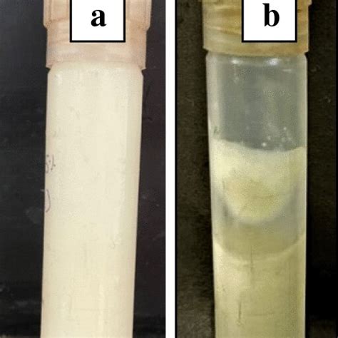 Emulsion 3 Oil Phase Concentration A Before And B After
