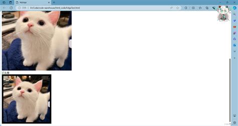 html html格式 csdn博客