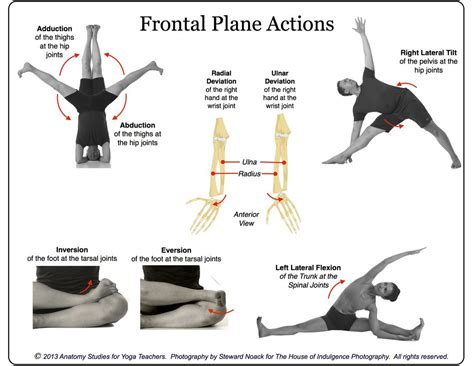 Plane Joint Movement Examples