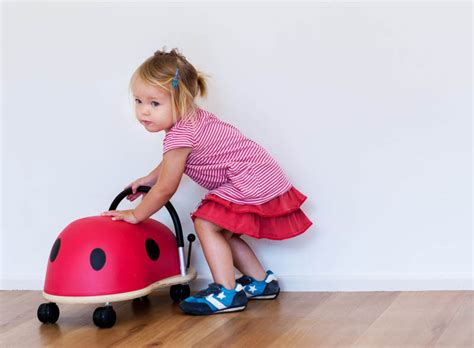 Wheely Bug Ride On Ladybug