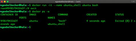 5 docker commands you need to know cprime blogs