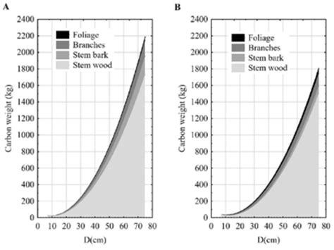 Carbon Accumulation At The Tree Level In A Douglas Fir And B Norway Download Scientific