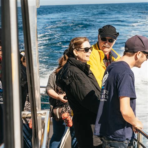 Monterey Bay Whale Watching Tour Getyourguide