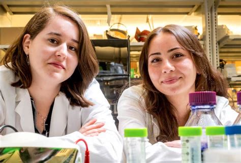 Engineered Probiotics Report Gut Disease With Protective Particles