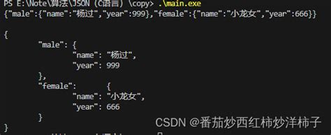 C语言解析json格式数据c 怎么解码json Csdn博客 C语言解析json格式数据c 怎么解码json Csdn博客