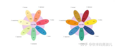 跟着pnas学作图：r语言ggplot2花瓣图展示泛基因组分析中核心和可变基因 知乎