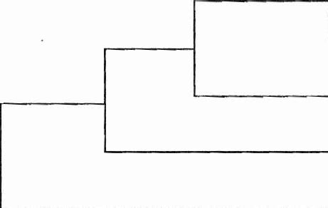 Diagram Of Relationship Based On Distance Analysis Using Non Metric Download Scientific
