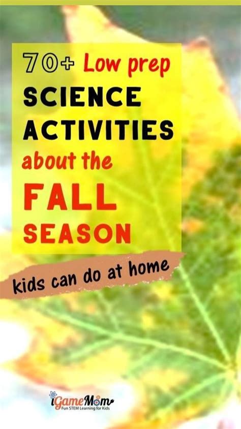 Geometry Games For Spatial Reasoning Critical Thinking Skills Artofit