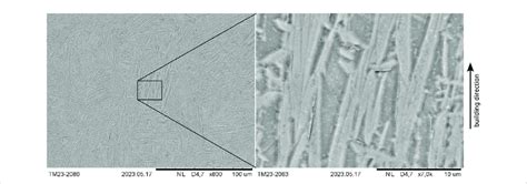 Microstructure Sem And Bse Detector Of Lpbf Processed Cp Titanium Download Scientific Diagram
