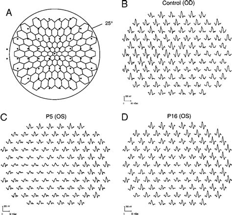 a the 103 hexagons of the merg stimulus array fall within the central