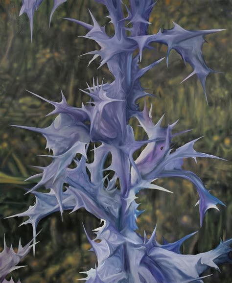 Tom Solty Dried Thistle In A Plain Field 2023 Artco Gallery